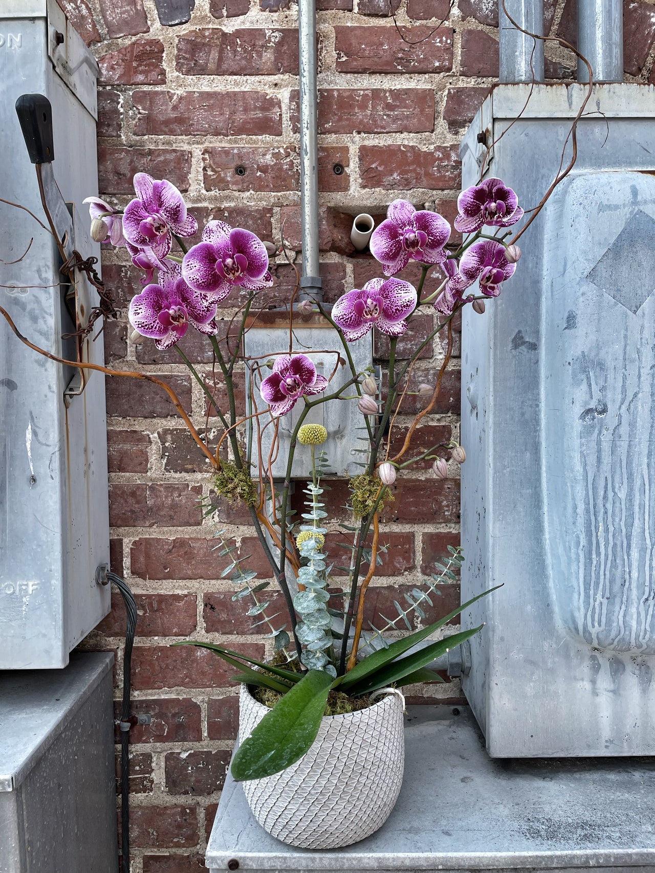 From the Ground – University Florist