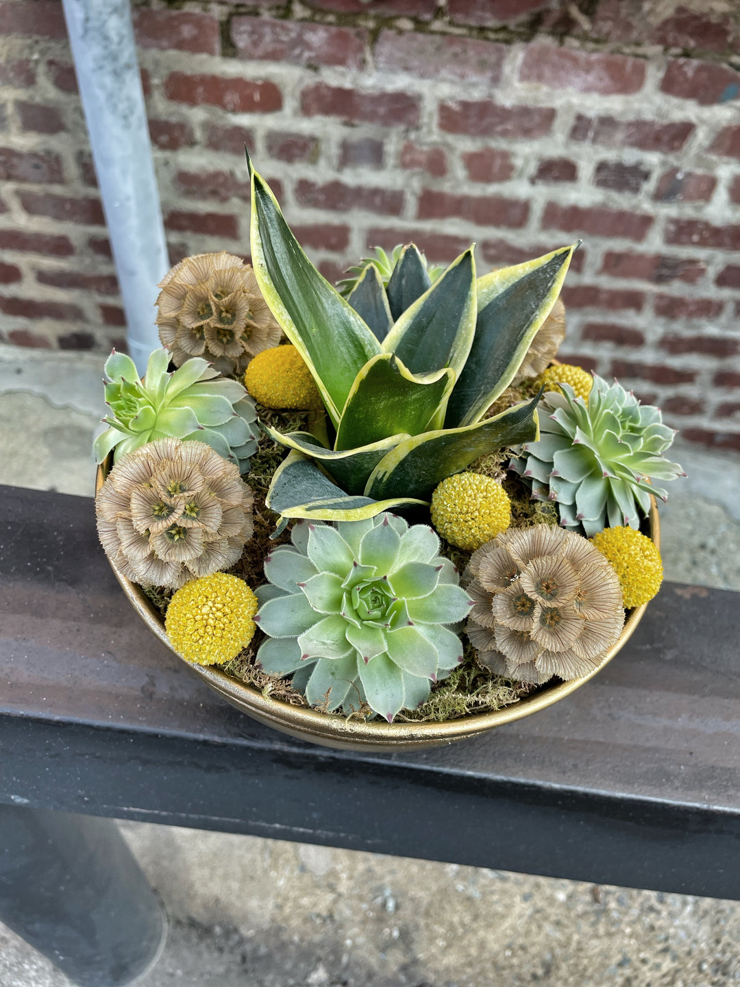 Products – University Florist