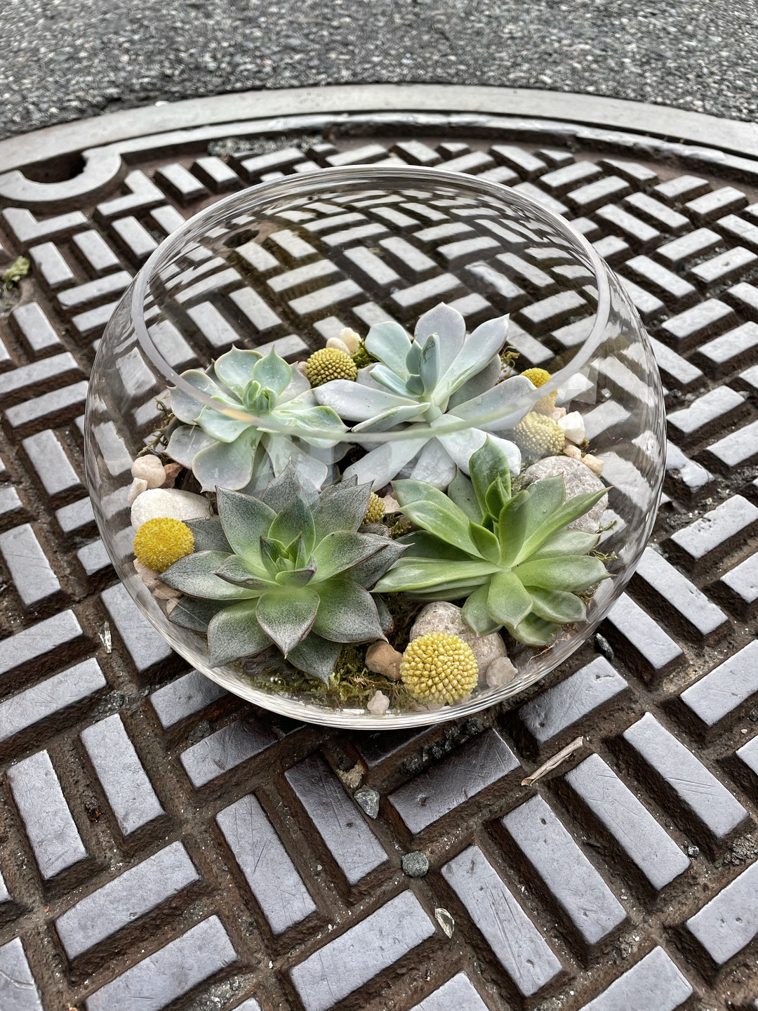 From the Ground – University Florist