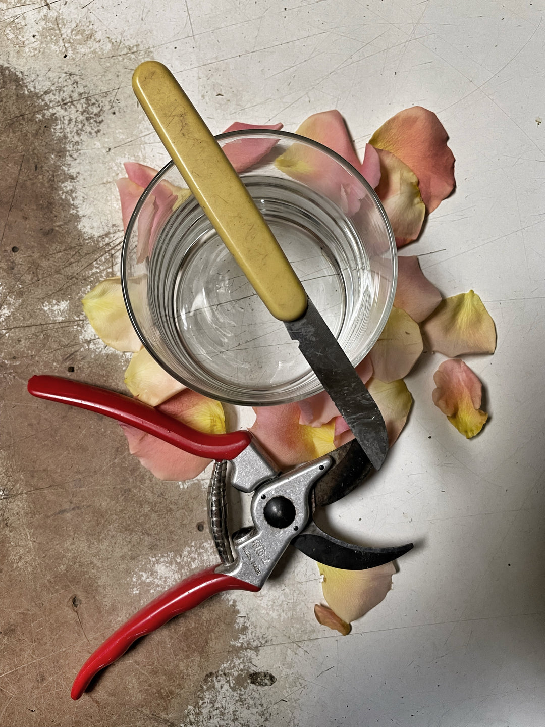 From the Fridge – University Florist