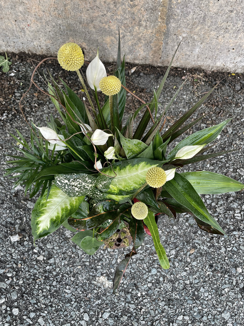 From the Ground – University Florist