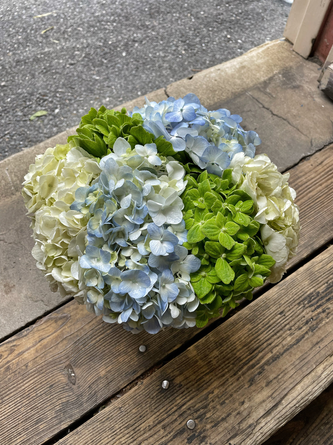 Products – University Florist